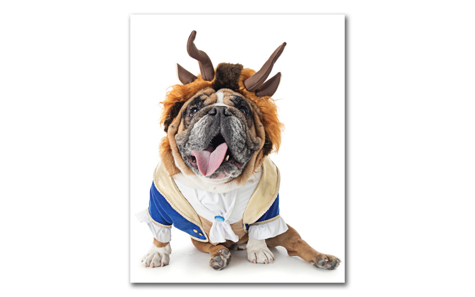 BENTLEY BULLDOG AS THE BEAST - Dogma Pet Portraits - Orange County's ...